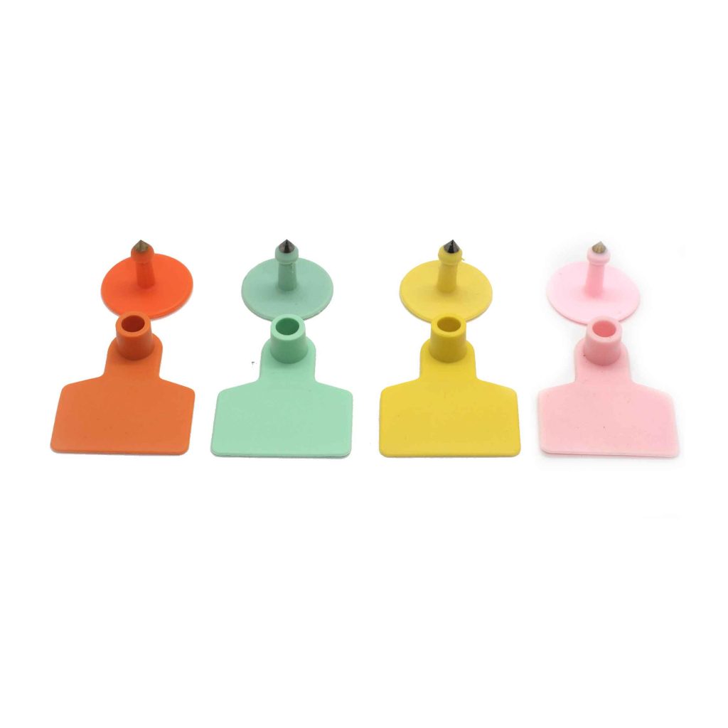 Square ear tag goat or pig